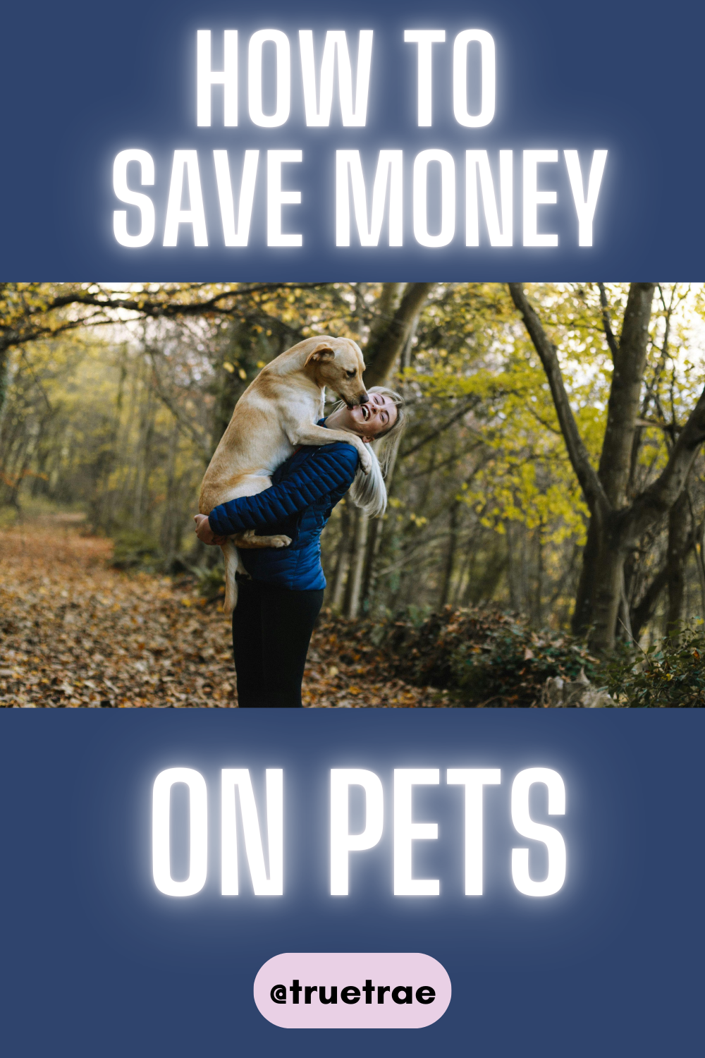 How to Save Money on Pets